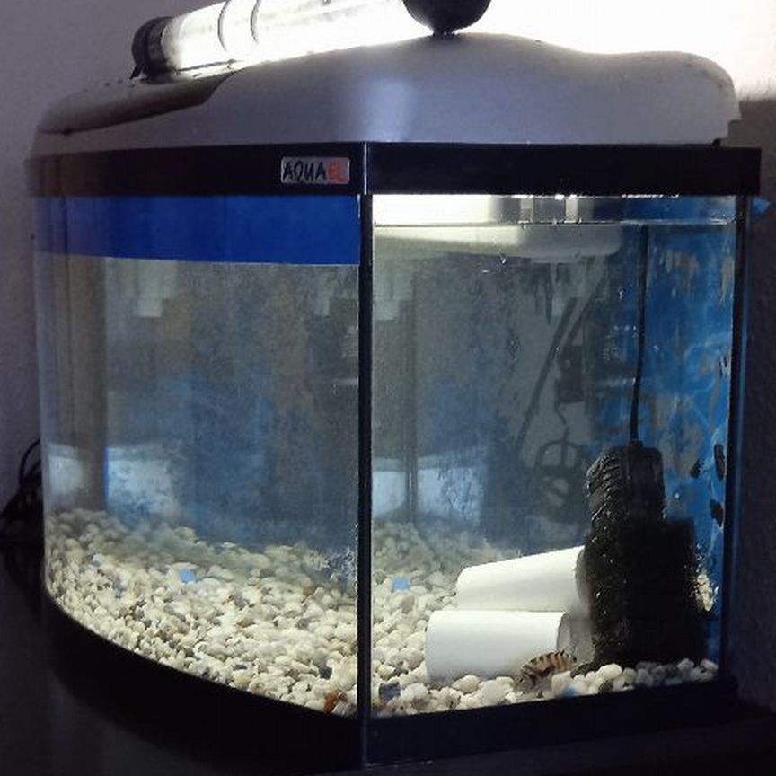 Аквариум