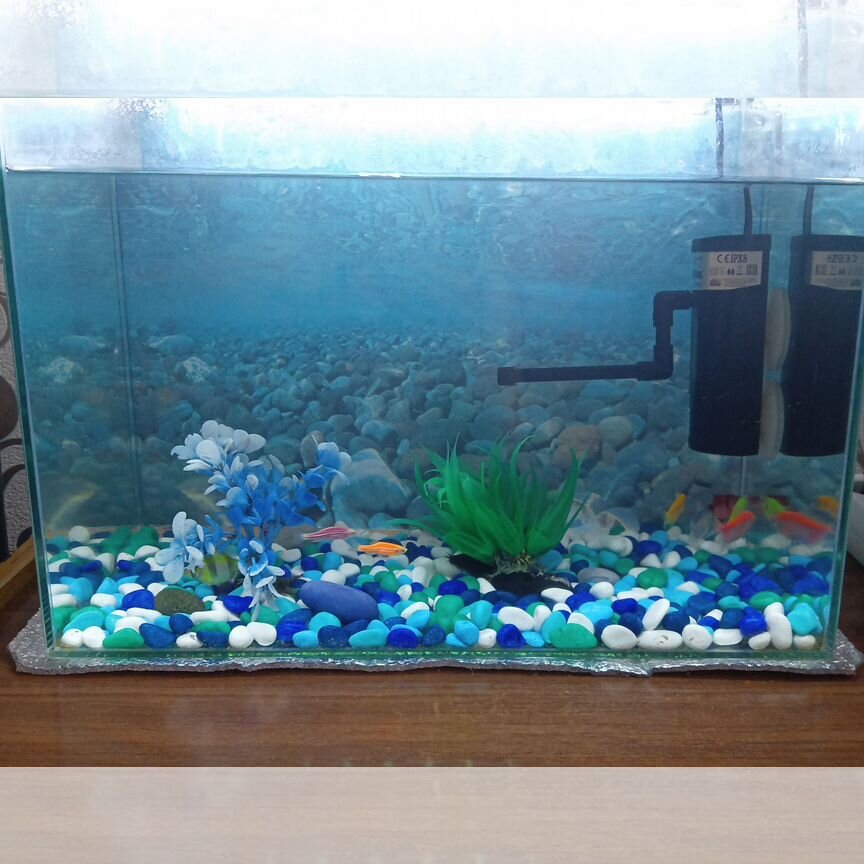 Аквариум с рыбками