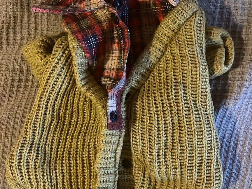 Костюм для собаки