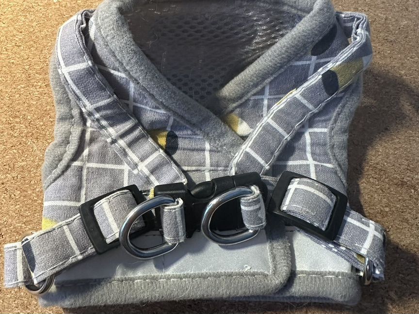 Шлейка для маленькой собаки