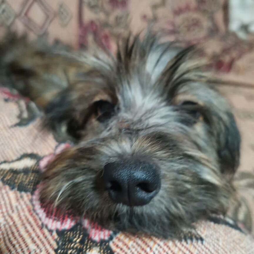 Филя ждет семью