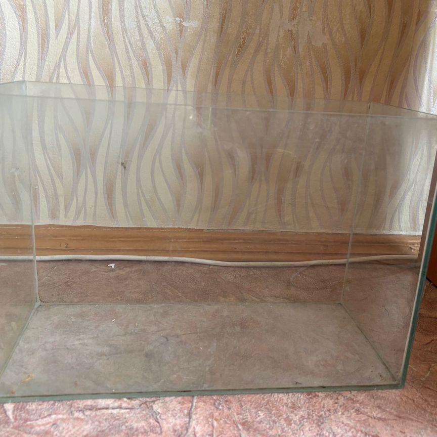 Аквариум для улиток