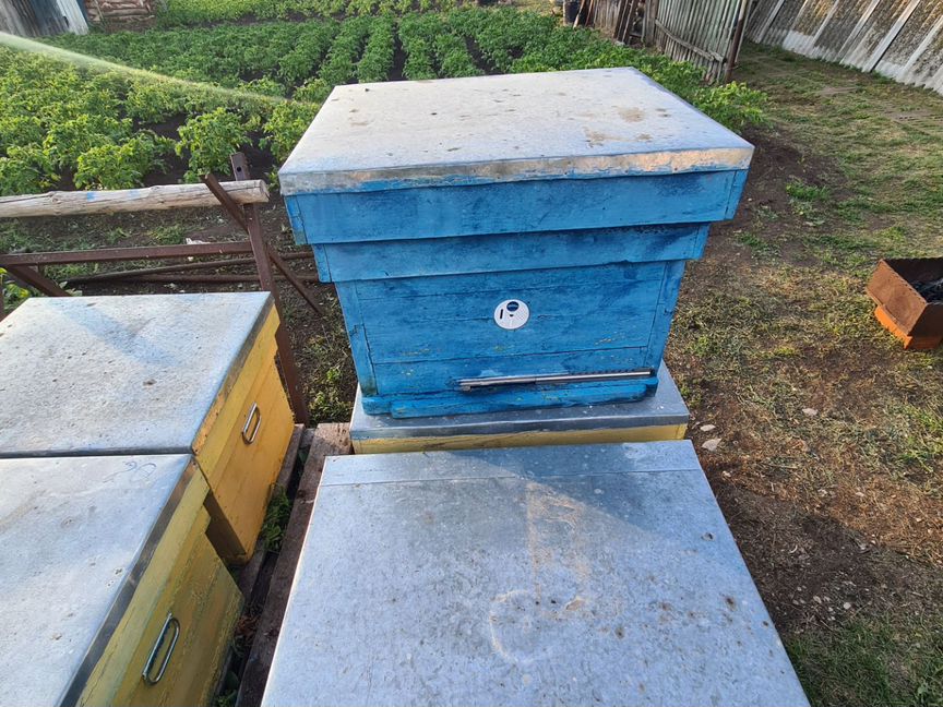 Ульи для пчел