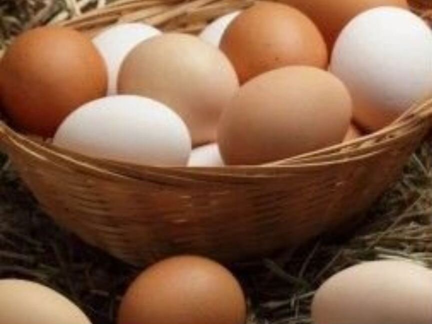 Яйцо куриное