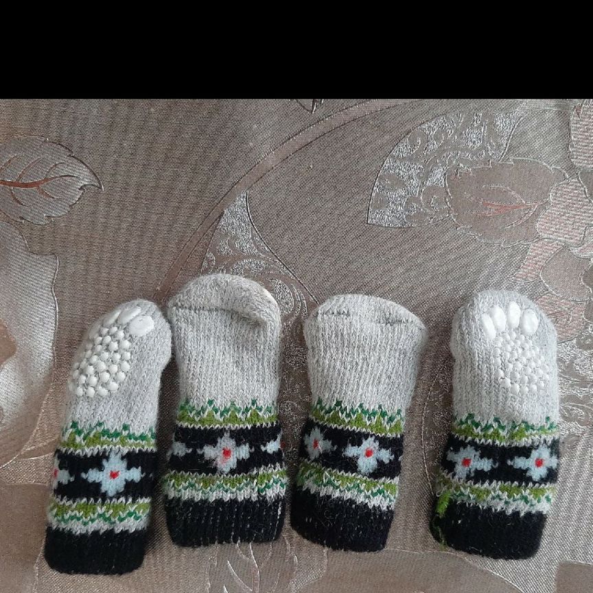 Носочки для собак