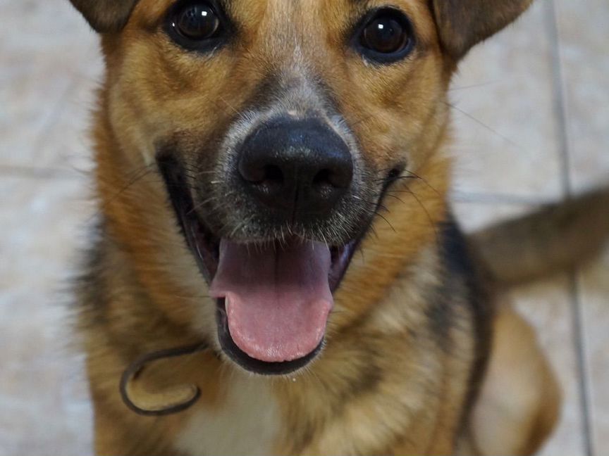 В ожидании семьи