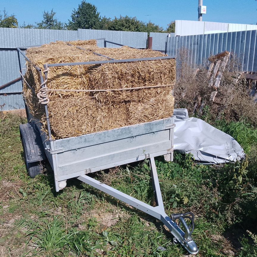 Сено солома