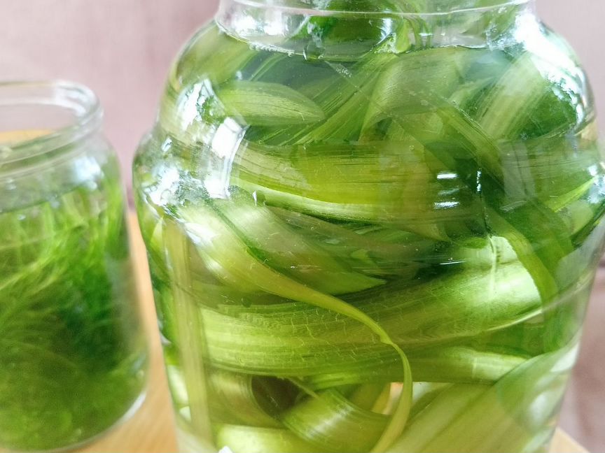 Аквариумные растения