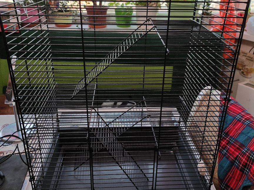 Клетка для мелких грызунов