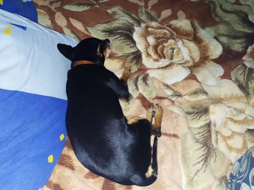 Ищем невесту