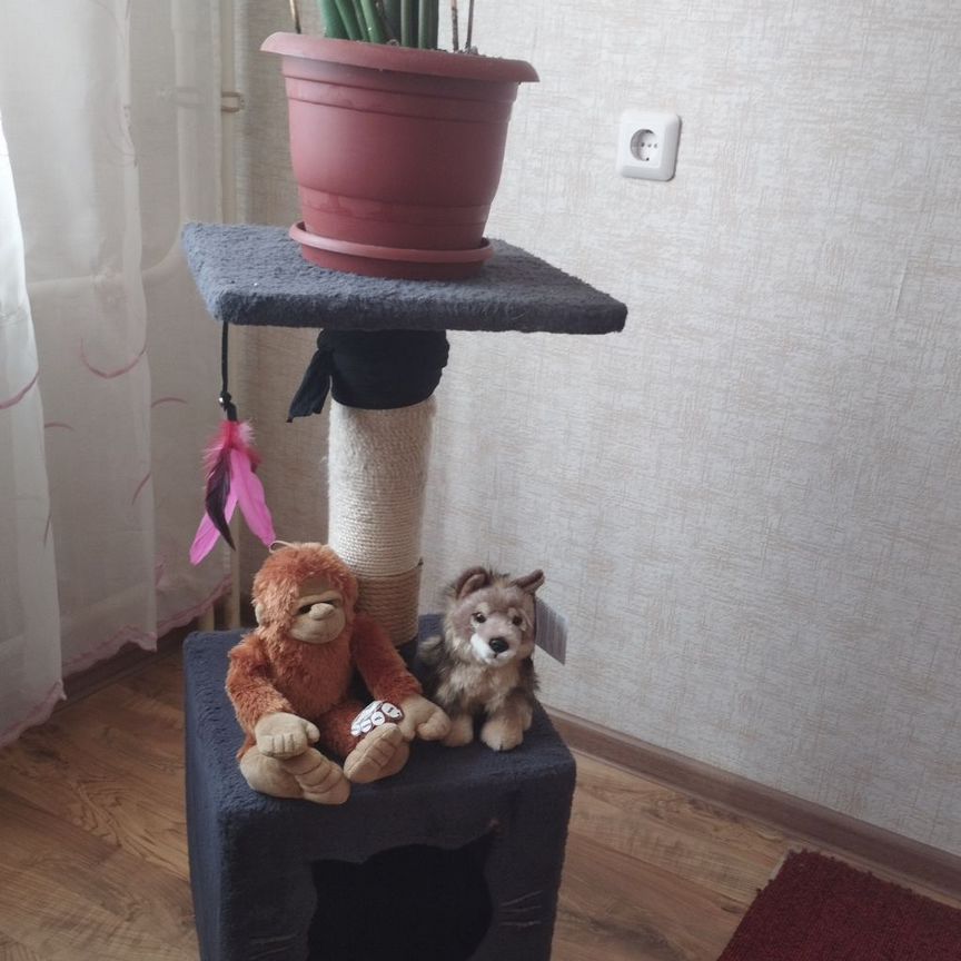 Домик для кошки