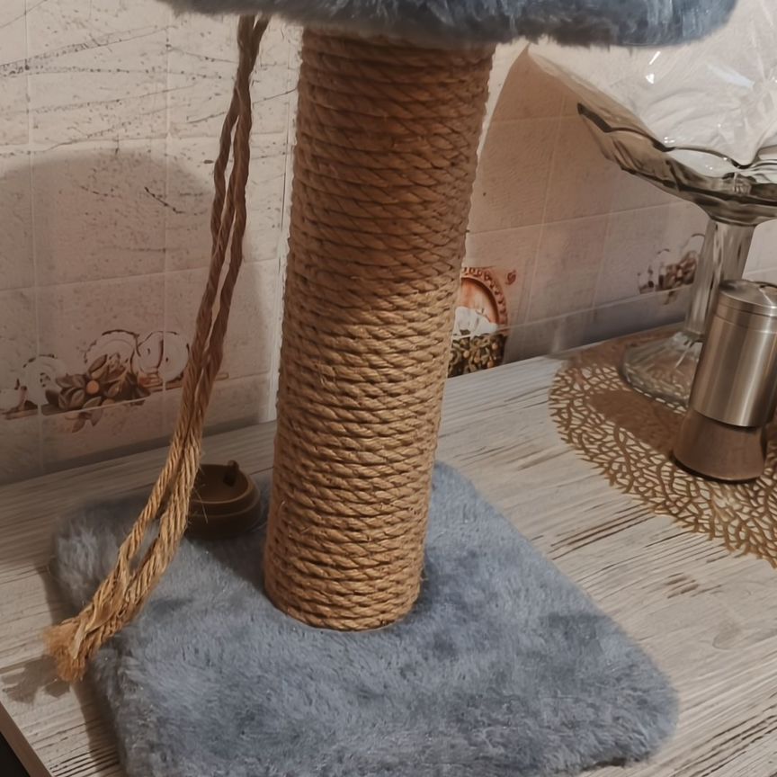 Когтеточка