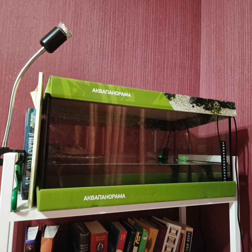 Аквариум