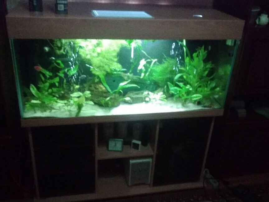 Аквариум с тумбой 300 литров
