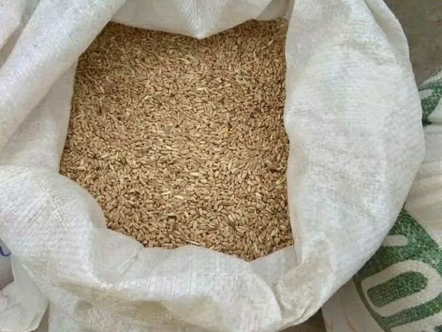 Зерно, стоимость указана за ведро