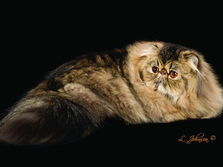 Мальчик 9 месяцев