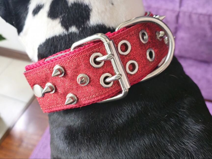 Ошейник с шипами для собак