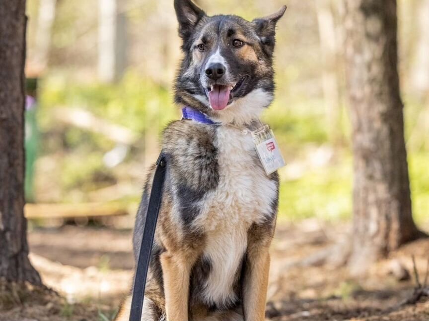 Самый лучший парень