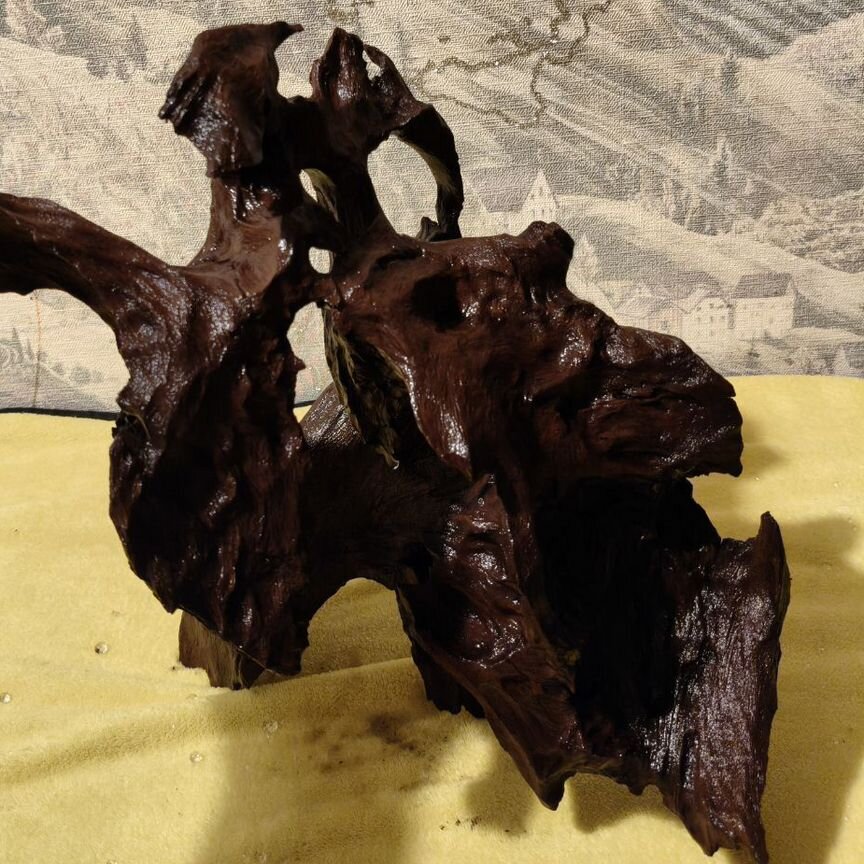 Мангровая коряга