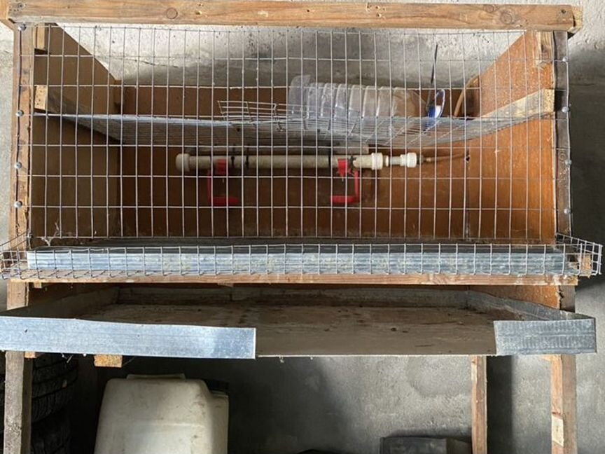 Клетка для перепелок