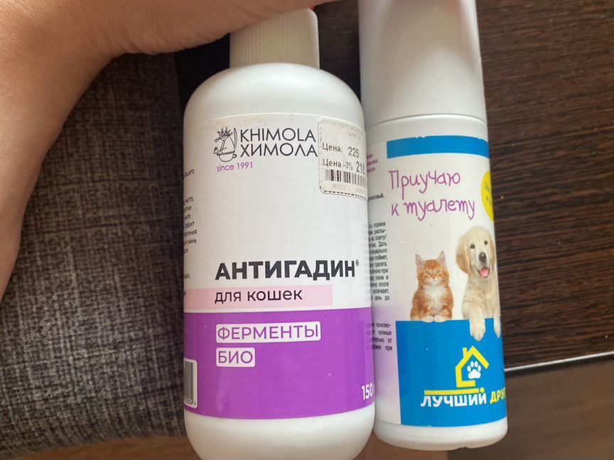 Котята приученые к лотку