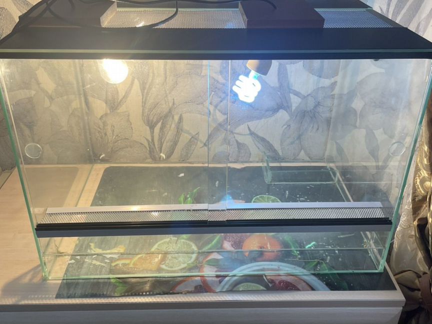 Террариум для хамелеона или Агамы