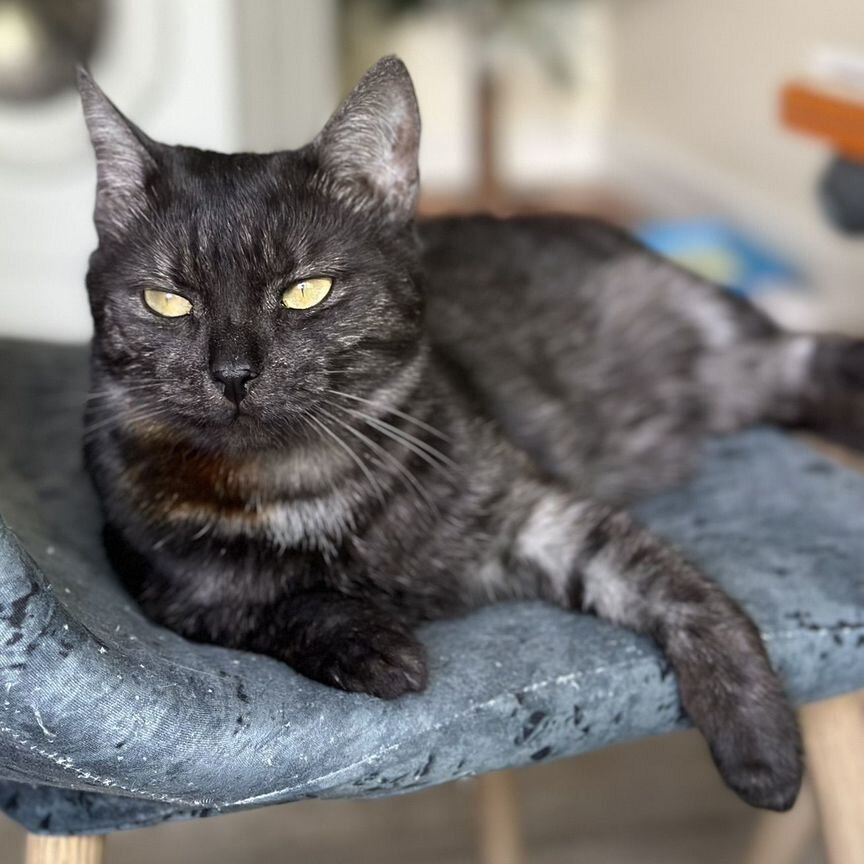 Гаечка в самые заботливые руки