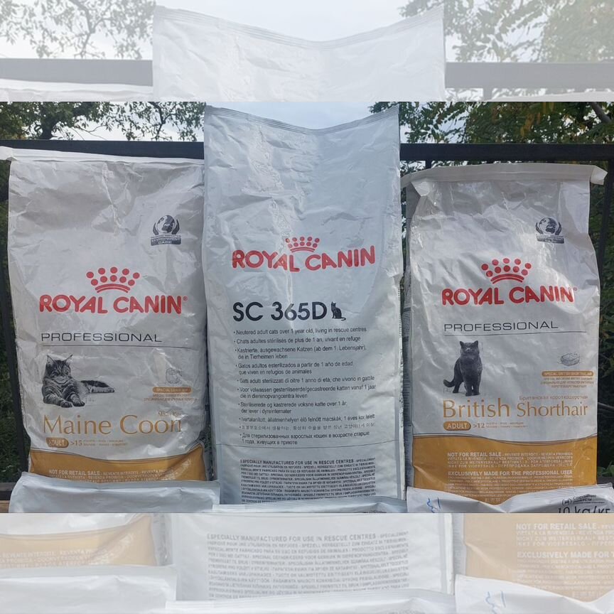 Royal Canin (Роял Канин) корм для кошек