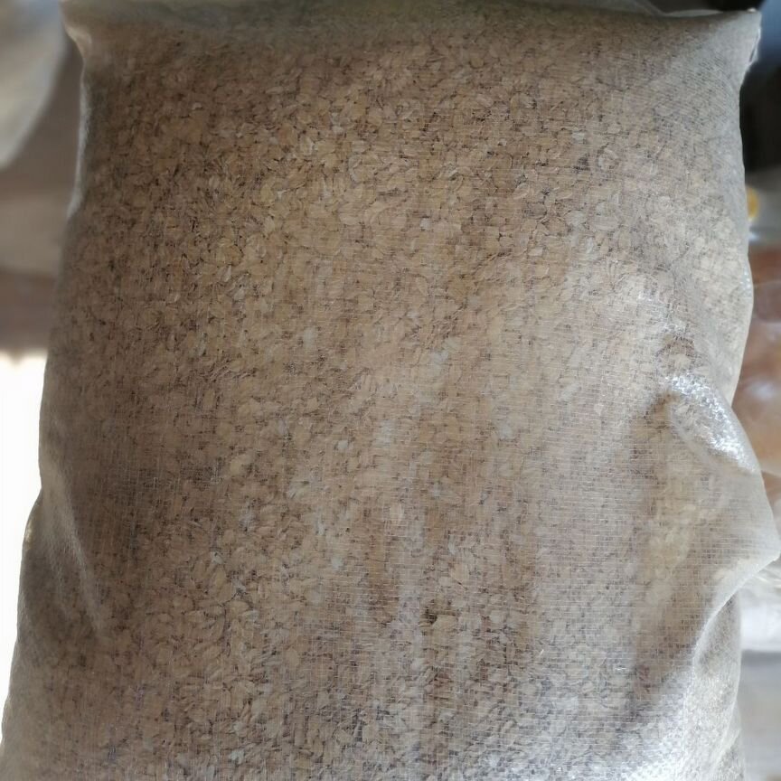 Еда для собак