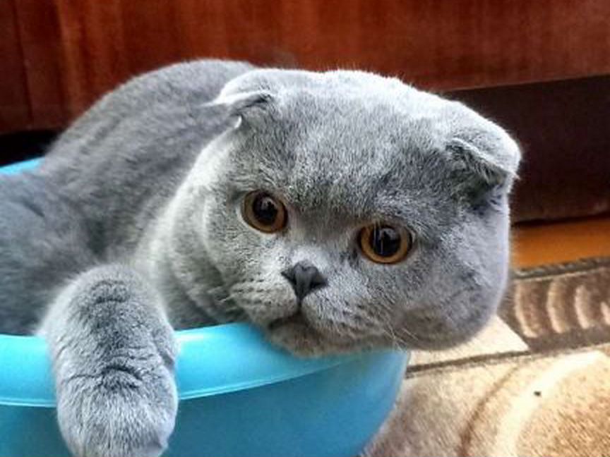 Вязка