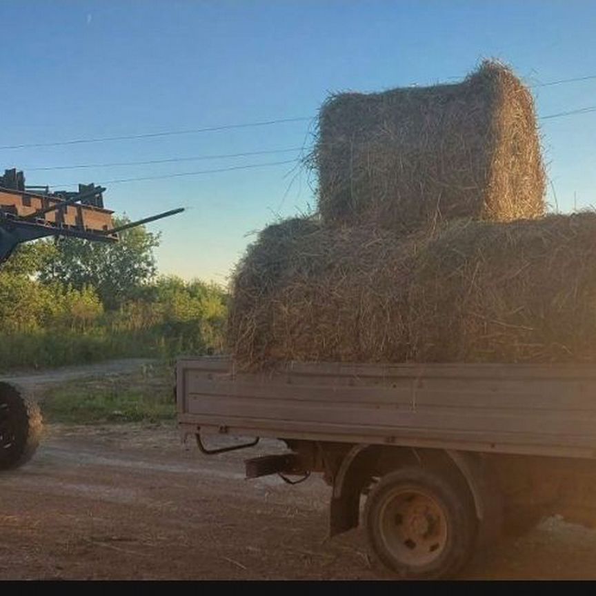 Сено в тюках 2024