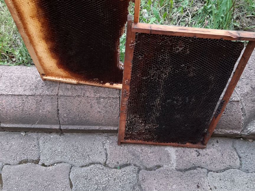 Рамки для меда