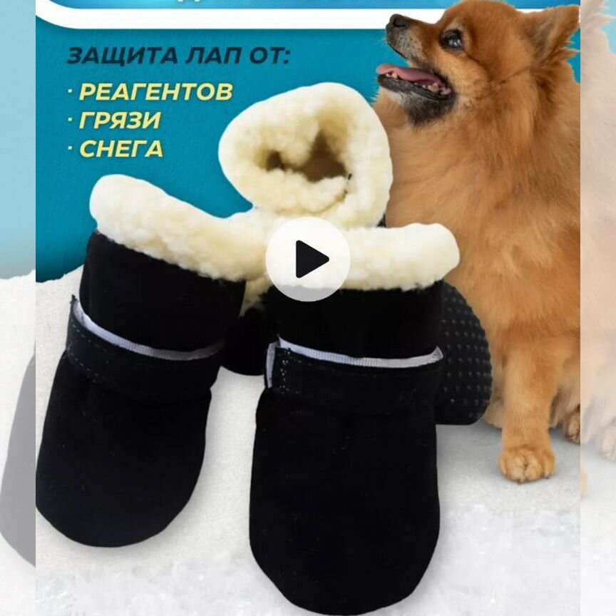 Обувь для собачек