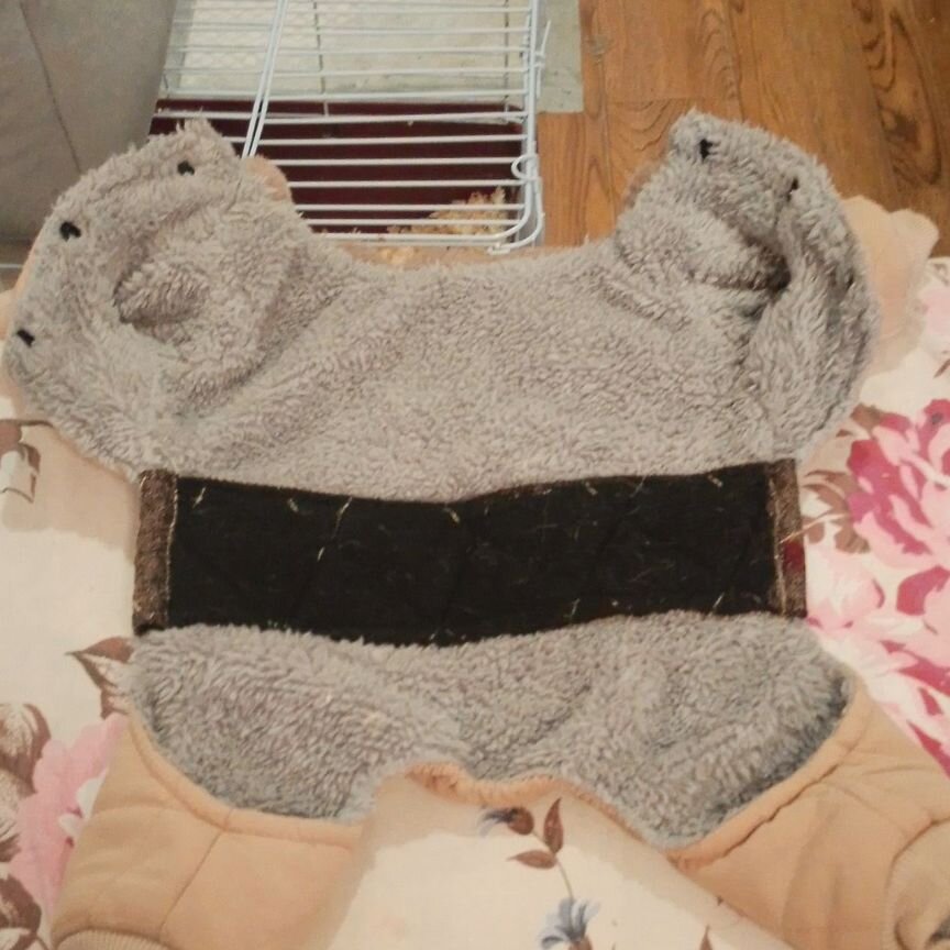 Костюм для собаки