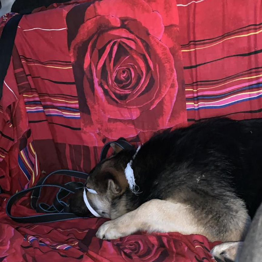 Ищем надёжные ручки