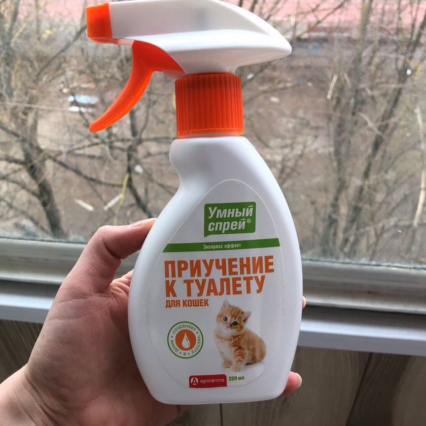 Спрей для приучения кошек к туалету