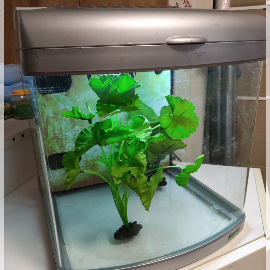 Аквариум с принадлежностями