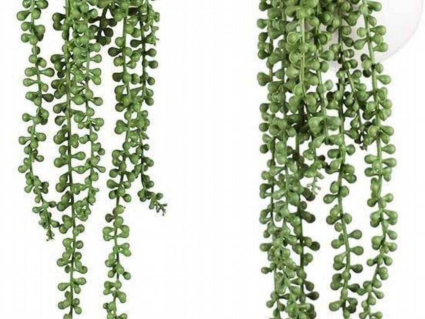 Искусственные растения Декор в террариум