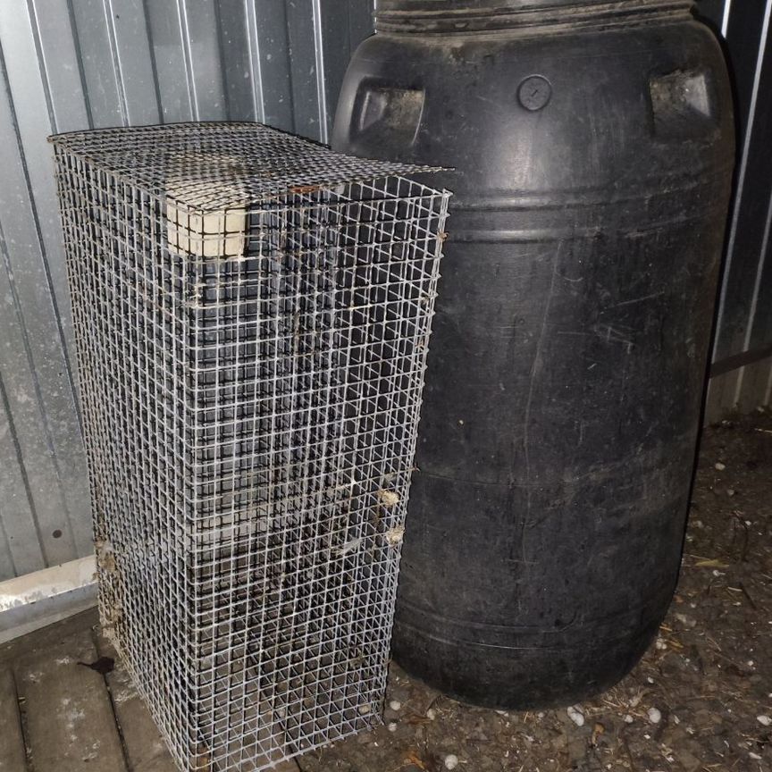 Клетки для птицы кролик