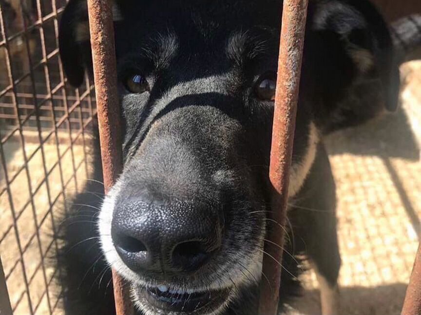 Кирюше очень нужен дом