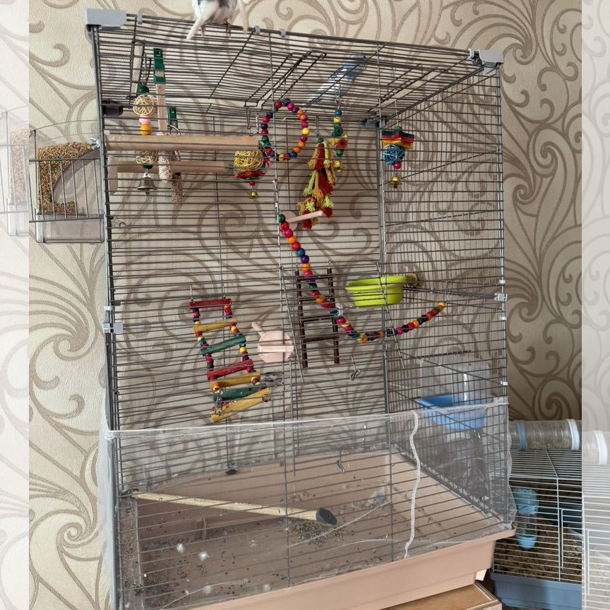 Волнистые попугаи с клеткой