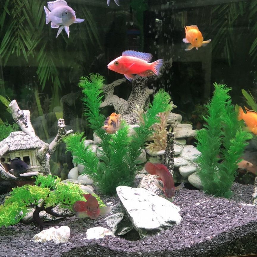 Аквариум с тумбой 300 литров