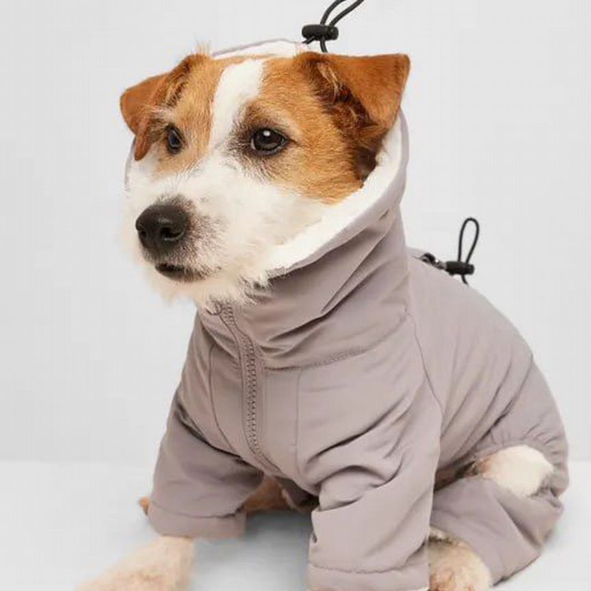 Комбинезон для маленькой собаки