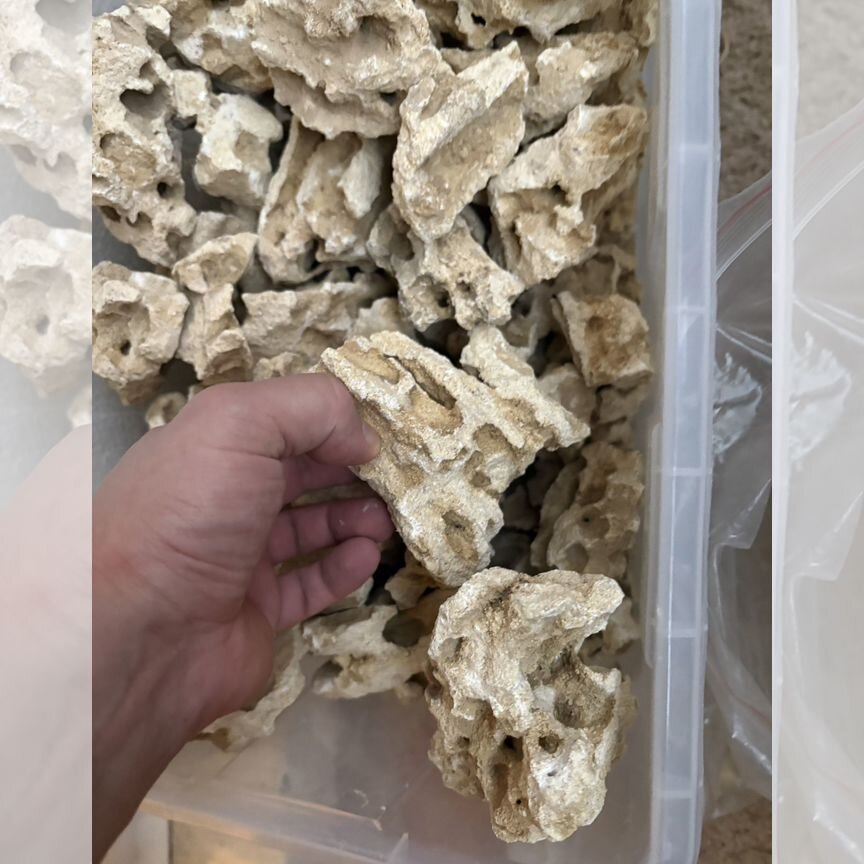 Крымский песчаник. Камни для флорариума/аквариума