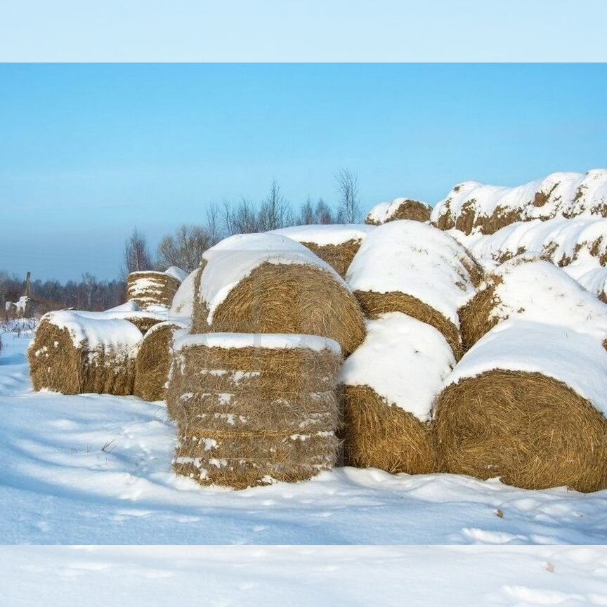 Продаю сено, солому