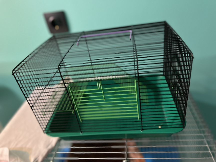 Клетка для грызунов крепыш 2