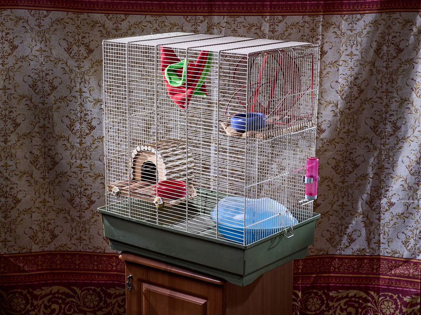 Клетка для крыс, дегу, шиншилл