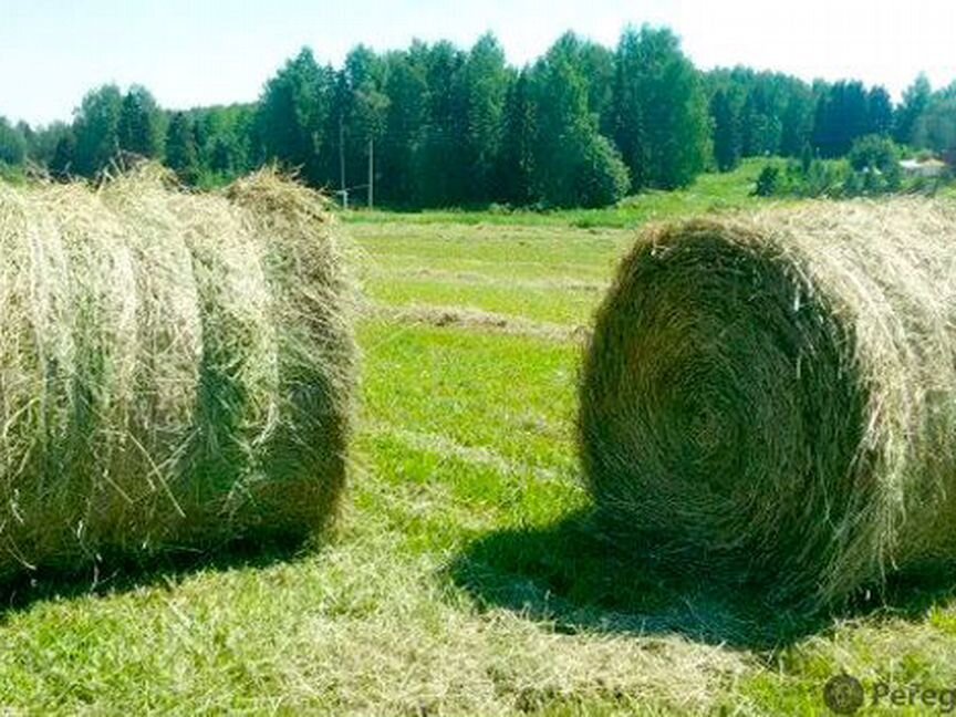 Сено солома в рулонах