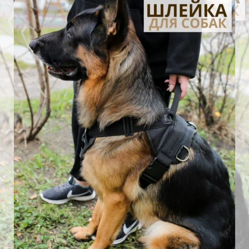 Шлейка для средней собаки