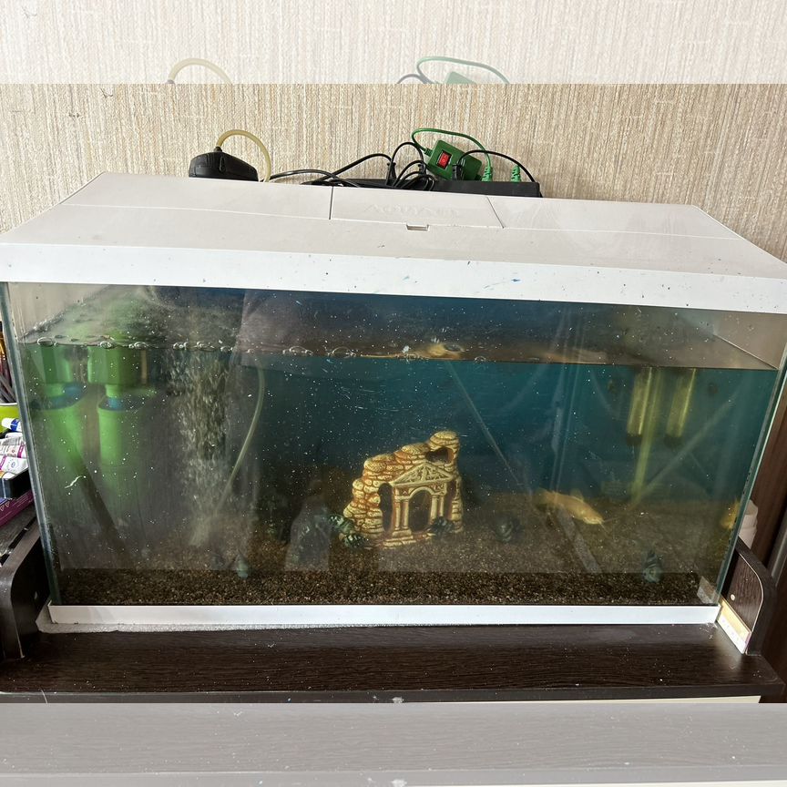 Аквариум с рыбками